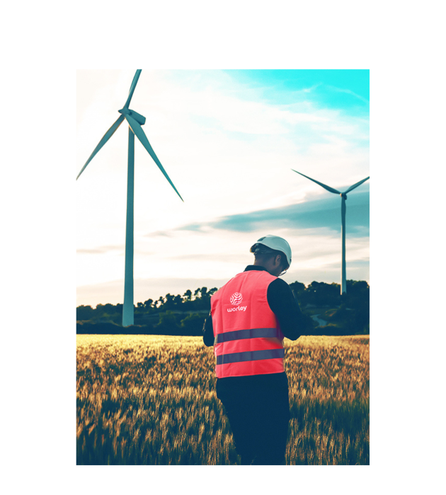 Worley | The Hague Business Agency