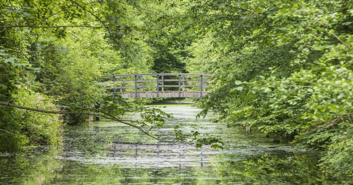 The Many Parks of The Hague | The Hague Convention Bureau