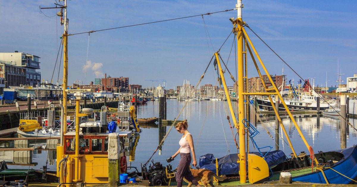 Work & Live | The Hague